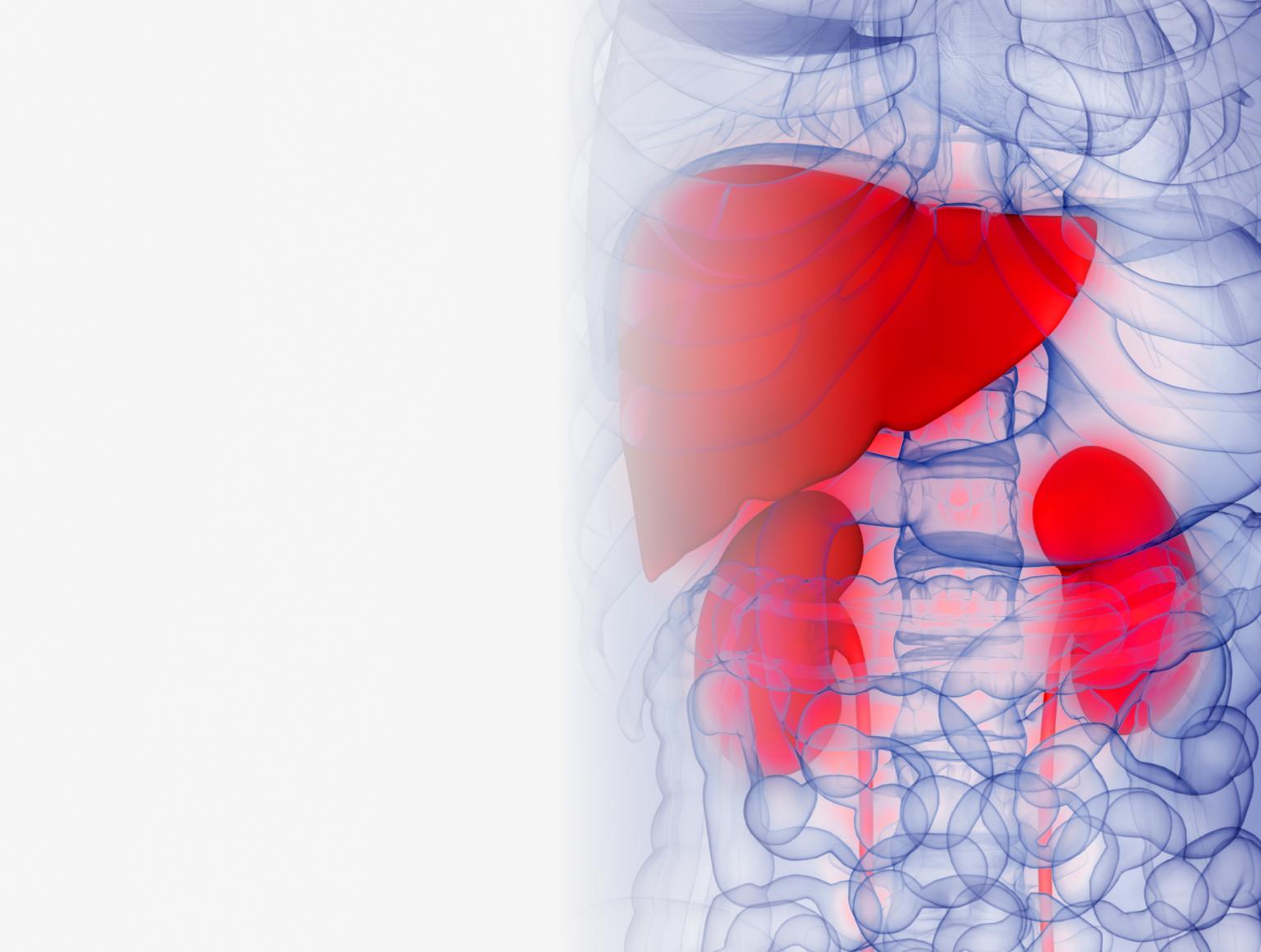 Health Interests: Liver & Kidney Health | PureHealth Research