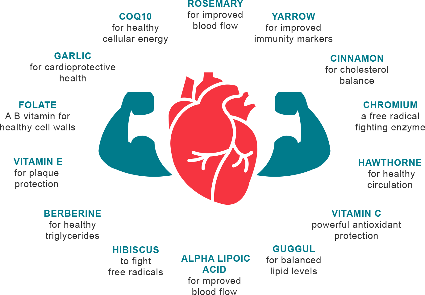 Ultimate Heart Health Protocol | PureHealth Research